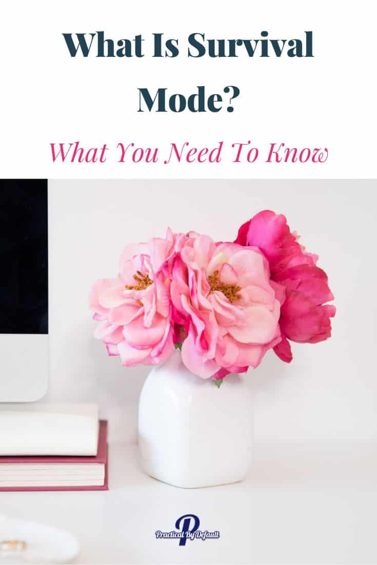 What Is Survival Mode? What Does Survival Mode Mean?